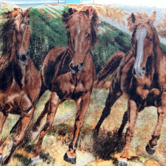 Northwest | Bedding | Northwest Spring Run Horse Blanket | Poshmark